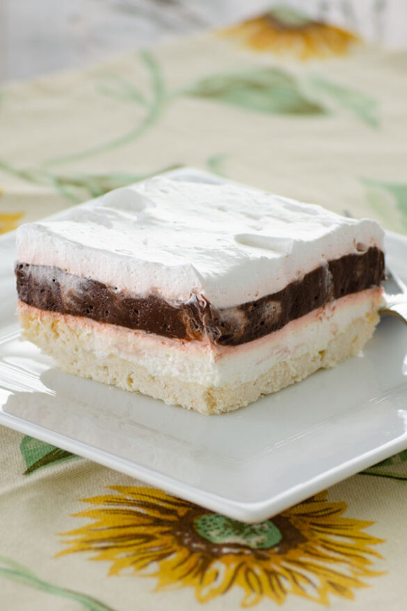 Layered Chocolate Dessert - Real Mom Kitchen