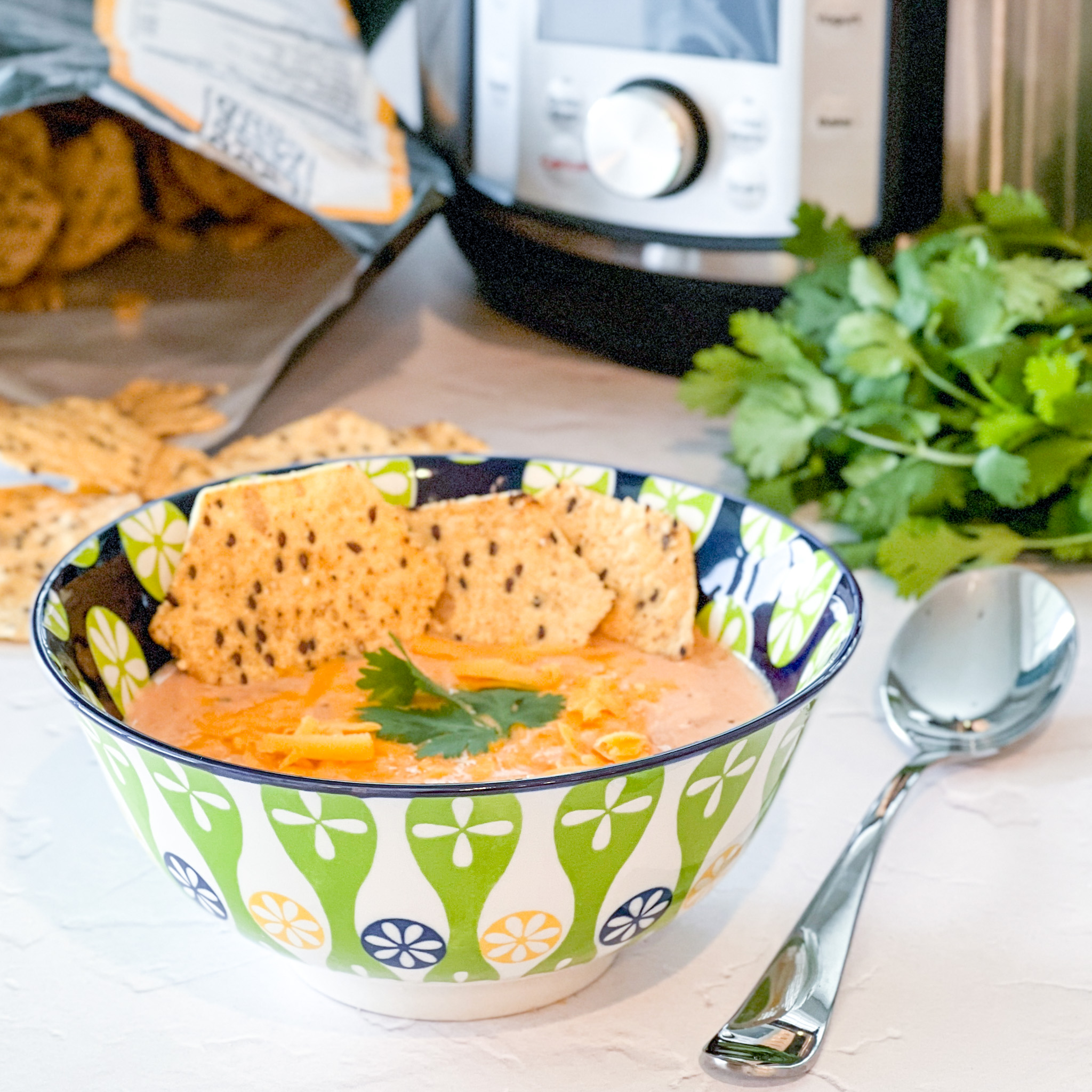 Instant Pot Salsa Soup - Real Mom Kitchen